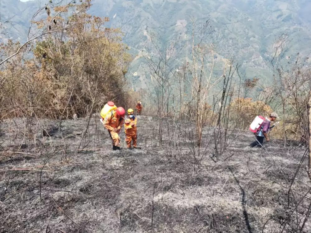 50 Hectáreas De Bosque Fueron Arrasadas Por Incendio Forestal En